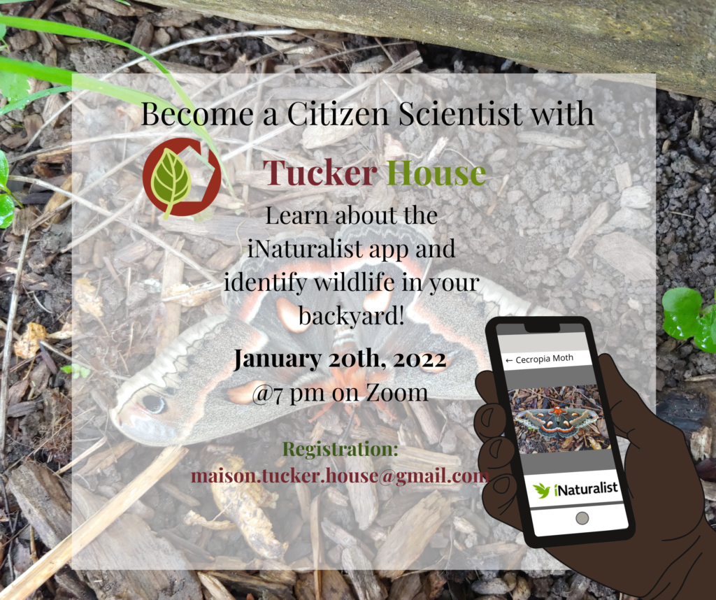 Citizen Science using INaturalist! | Tucker House Renewal Centre